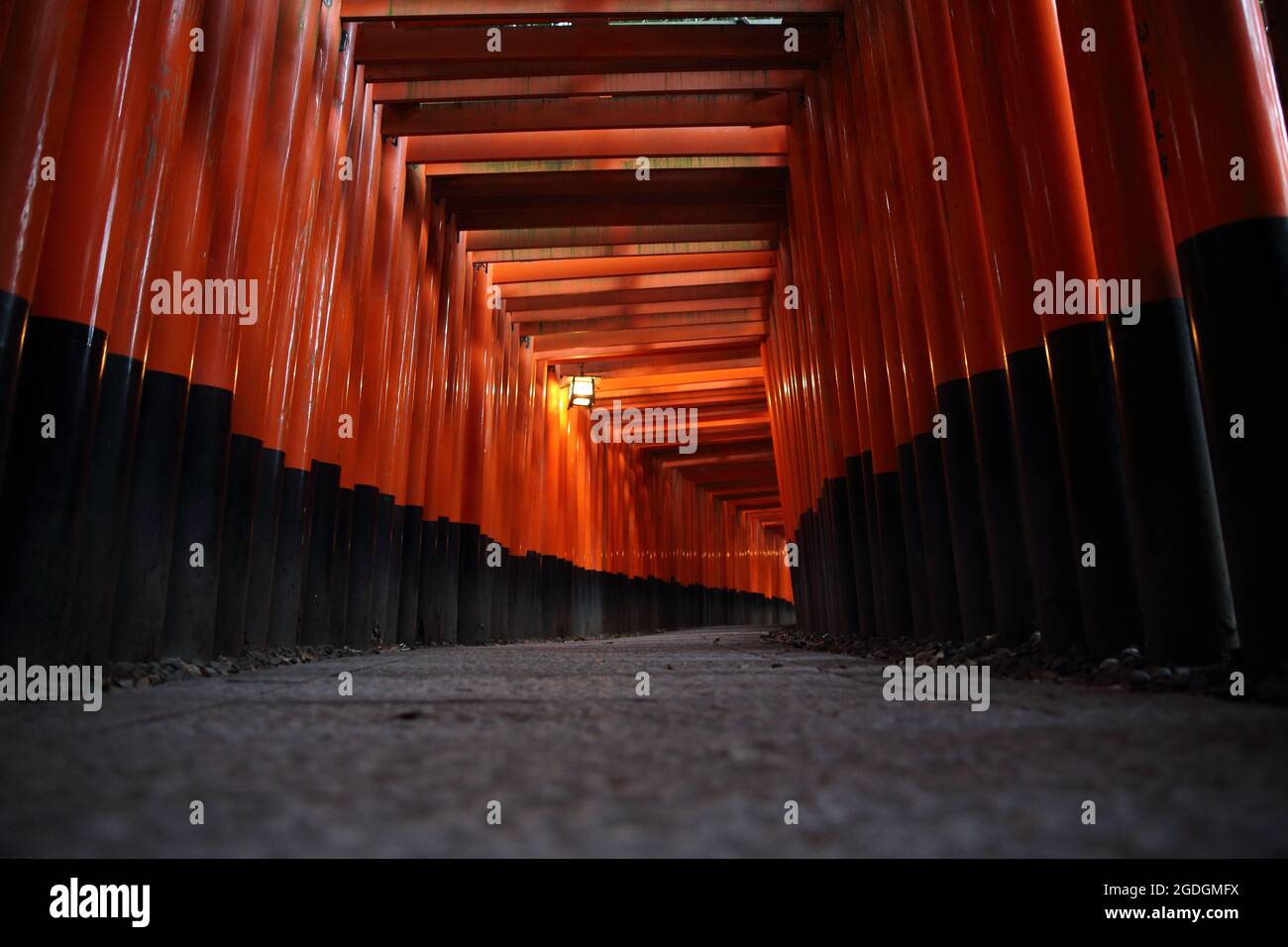 Red Tori Gate at Fushimi Inari Shrine in Kyoto, Japan , selective focus ...