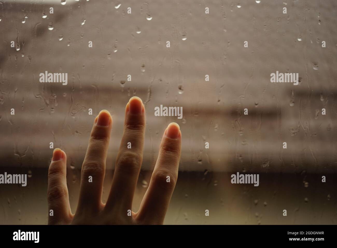 Hand touches a window with rain drops. Roof background in blur Stock ...