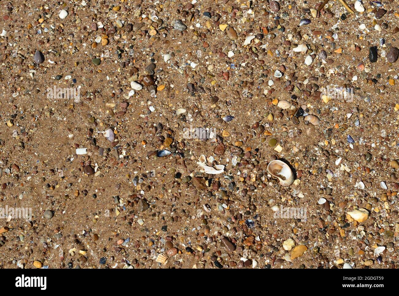 Gravel beach at low tide hi-res stock photography and images - Alamy