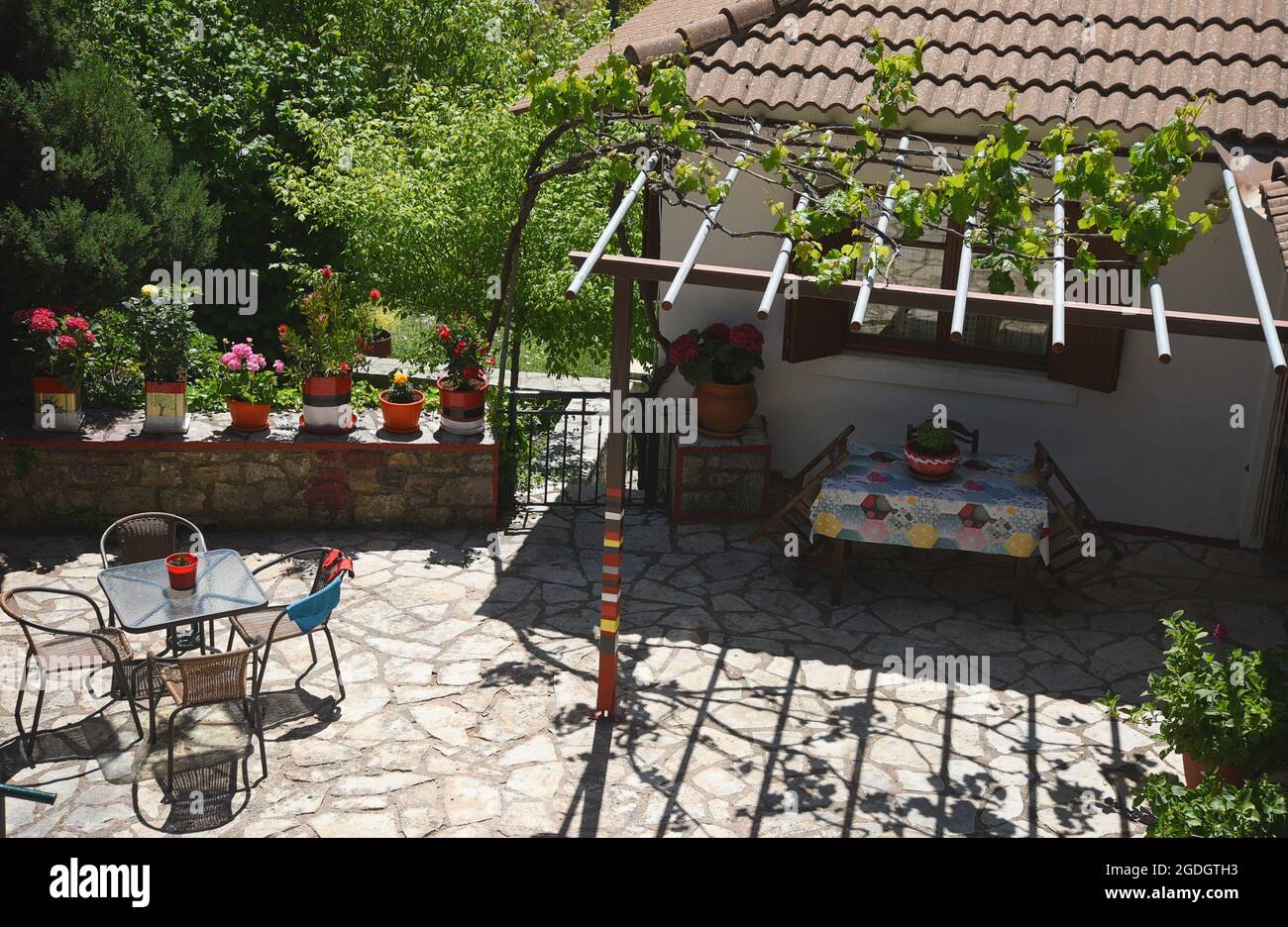 Grapevine Pergola High Resolution Stock Photography and Images - Alamy