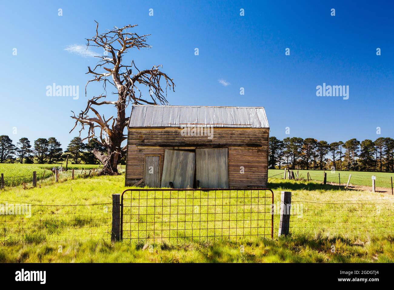 Australian rural landscape near canola fields on a clear sunny day near ...
