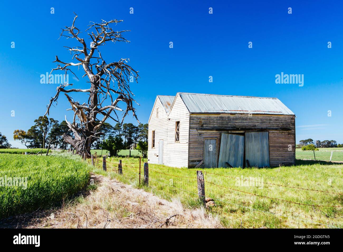 Australian rural landscape near canola fields on a clear sunny day near ...