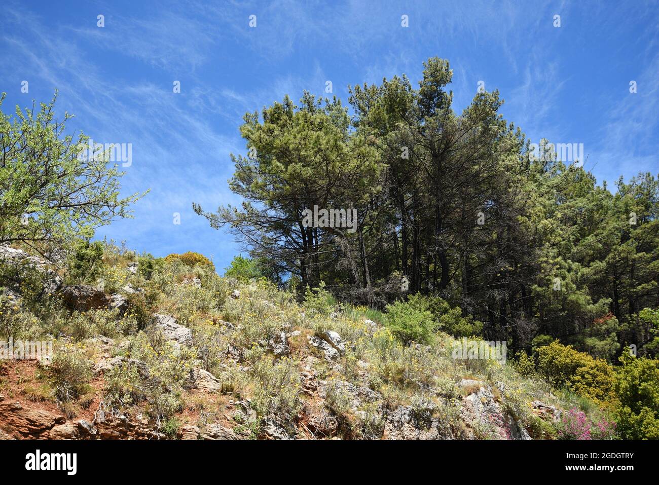 Natural landscape in the countryside of Dimitsana a traditional village ...
