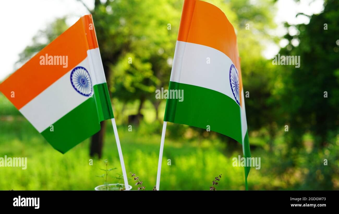 Two Indian tricolor national flags in nature background. Independence ...