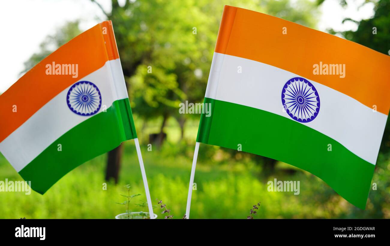 Two Indian tricolor national flags in nature background. Independence ...