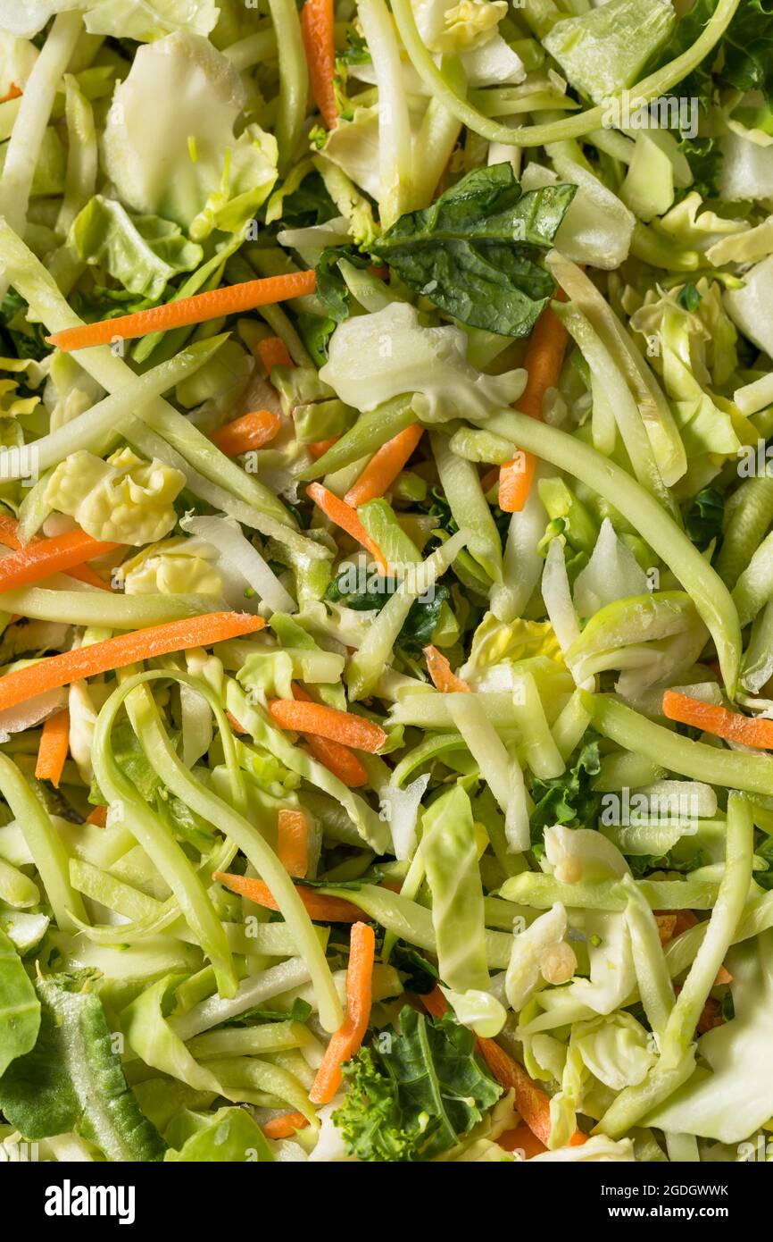 Healthy Homemade Shredded Cabbage Vegetable Power Blend in a Bowl Stock ...