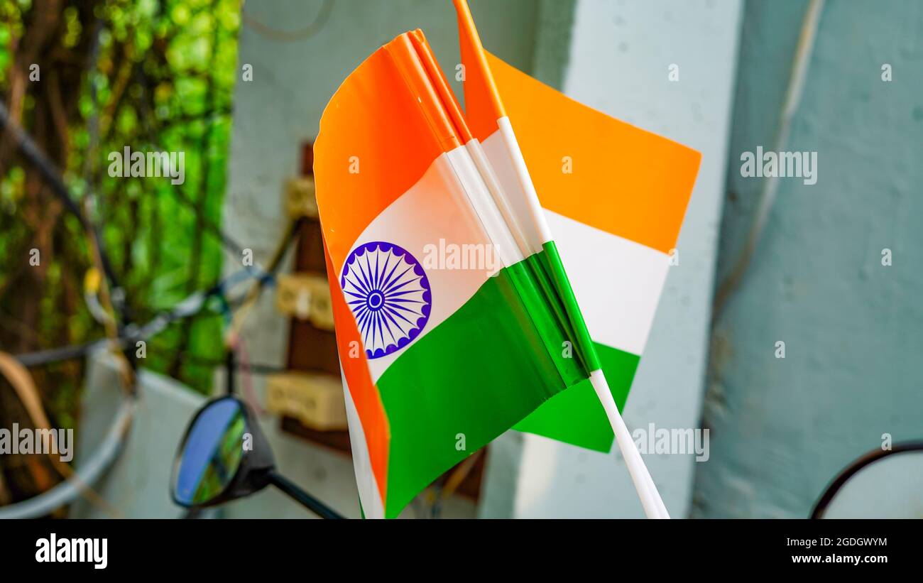 Two Indian tricolor national flags in nature background. Independence ...