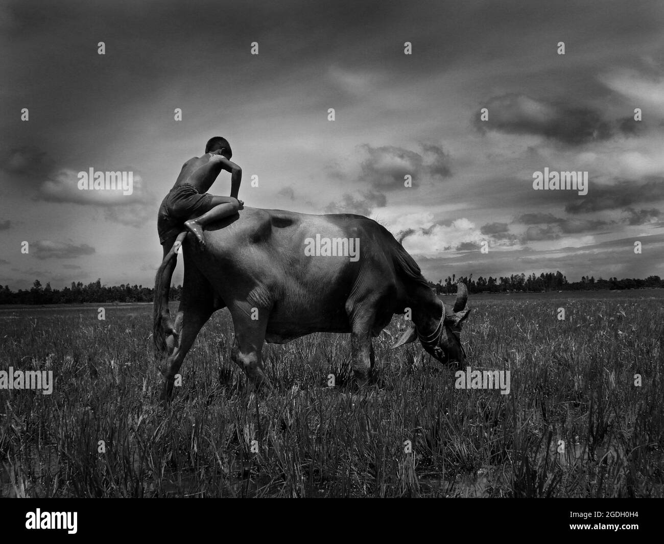 Boy chasing Black and White Stock Photos & Images - Alamy
