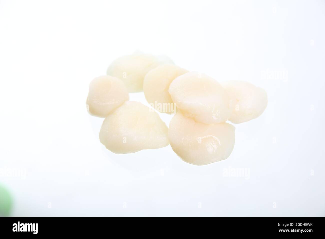 Scallops isolated in white background Stock Photo - Alamy