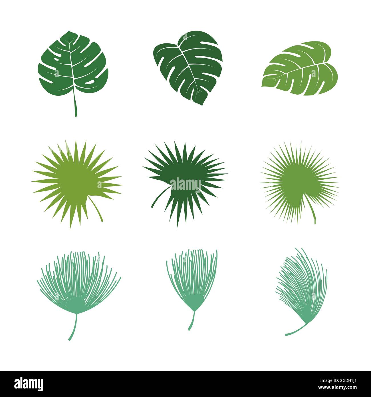 tropical leaf Vector icon design illustration Template Stock Vector ...