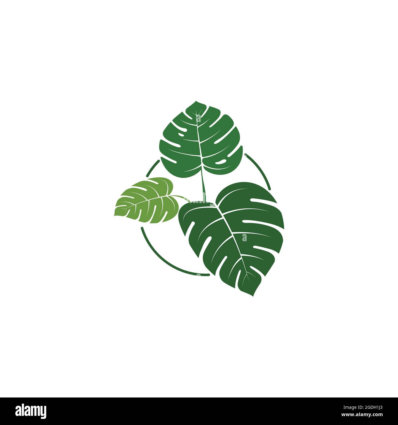 tropical leaf Vector icon design illustration Template Stock Vector ...