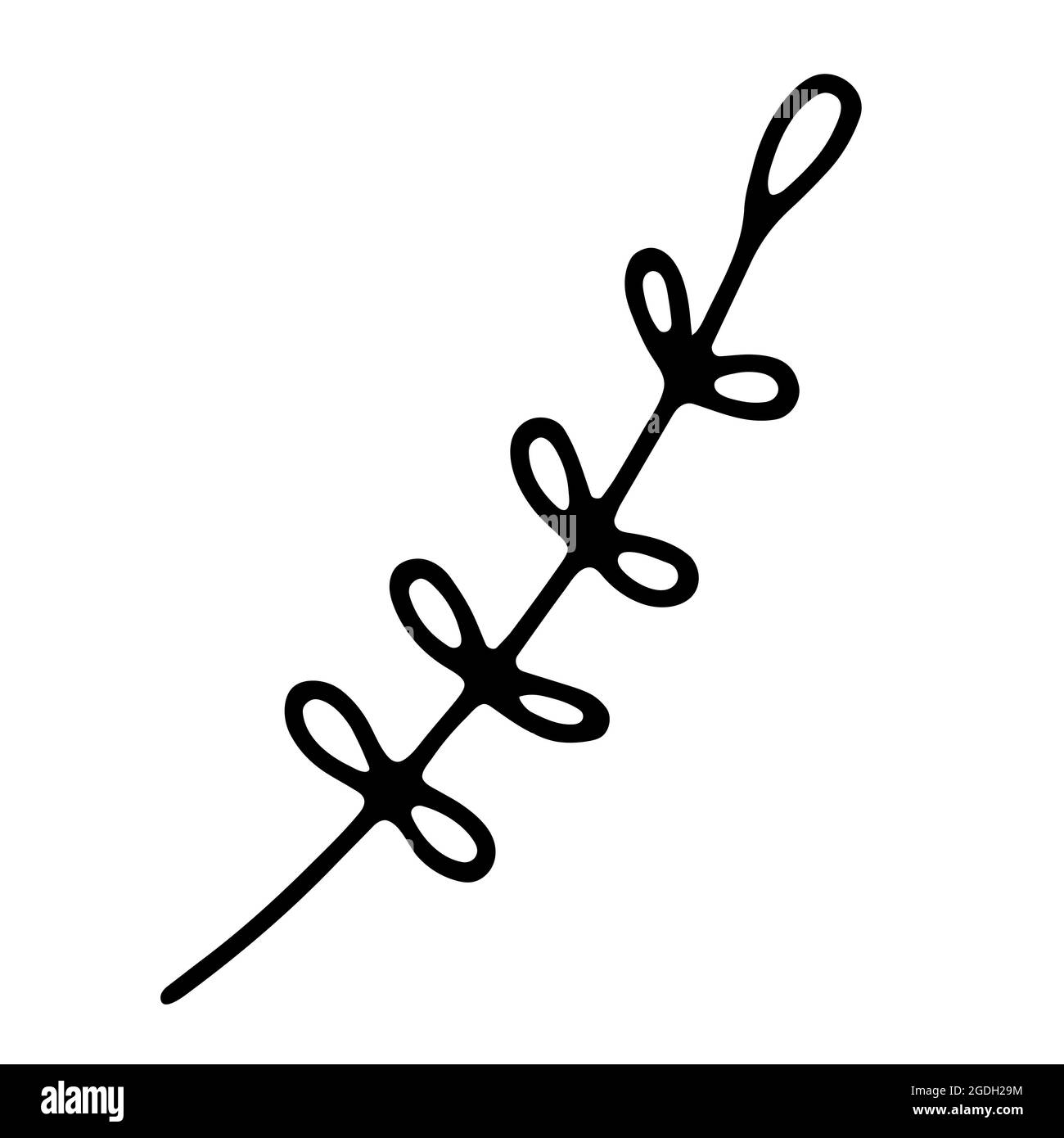 Doodle delicate twig. Hand-drawn cute plant isolated on white ...