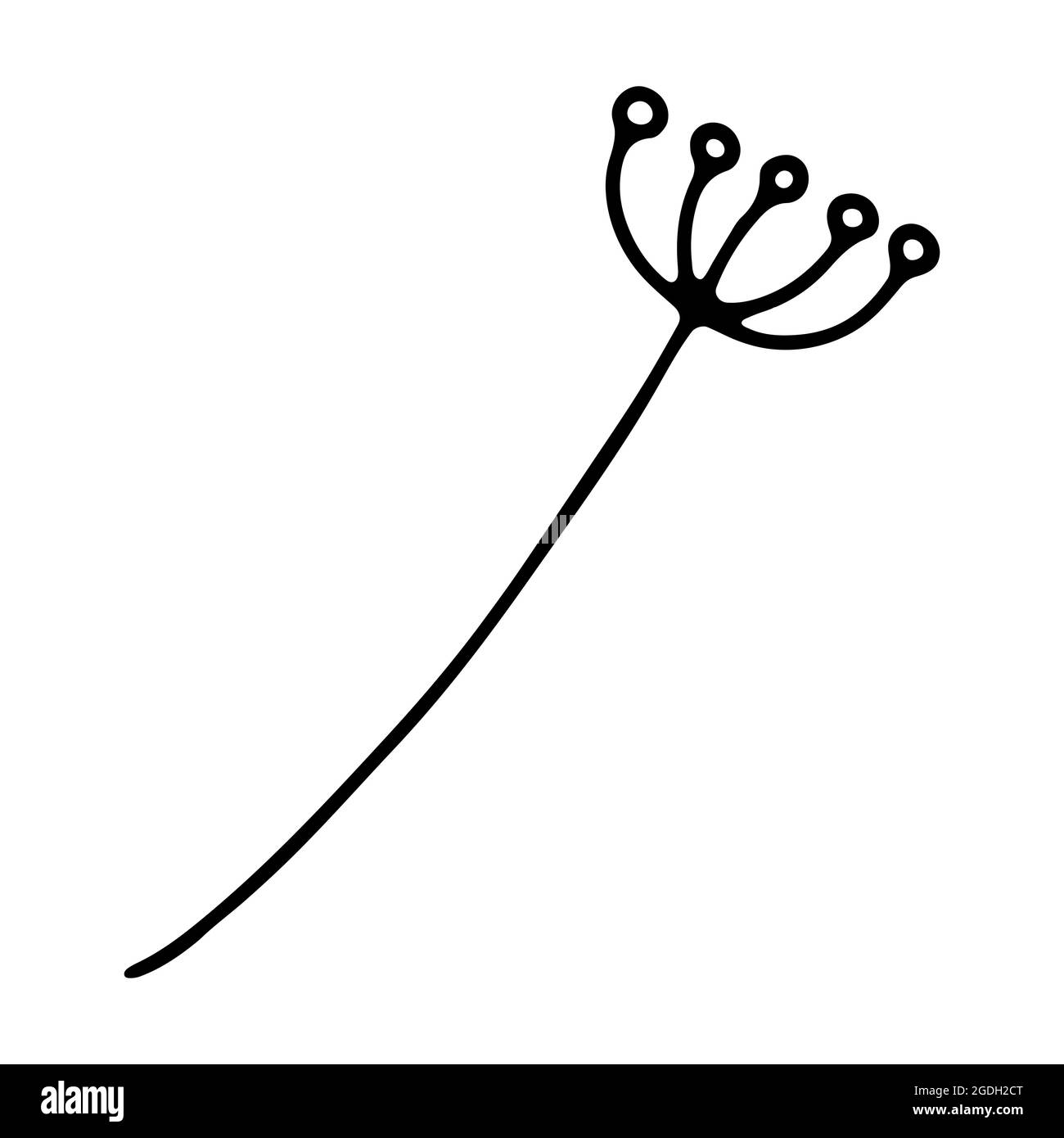 Doodle delicate twig. Hand-drawn cute plant isolated on white ...