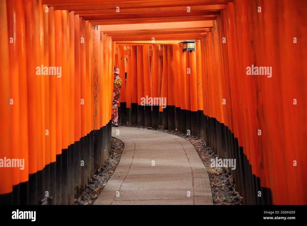 Red Tori Gate at Fushimi Inari Shrine in Kyoto , Japan Stock Photo - Alamy