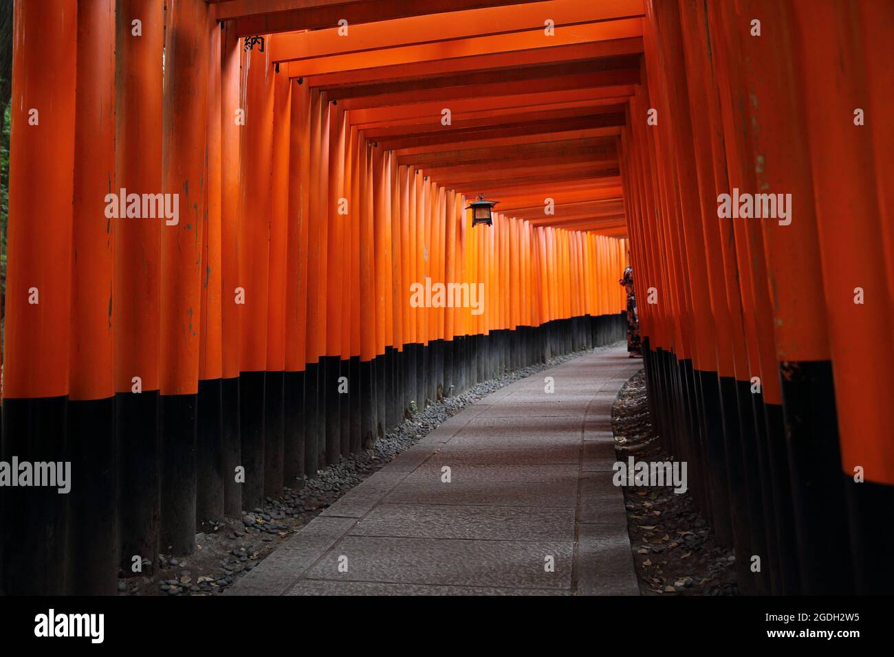 Red Tori Gate at Fushimi Inari Shrine in Kyoto , Japan Stock Photo - Alamy