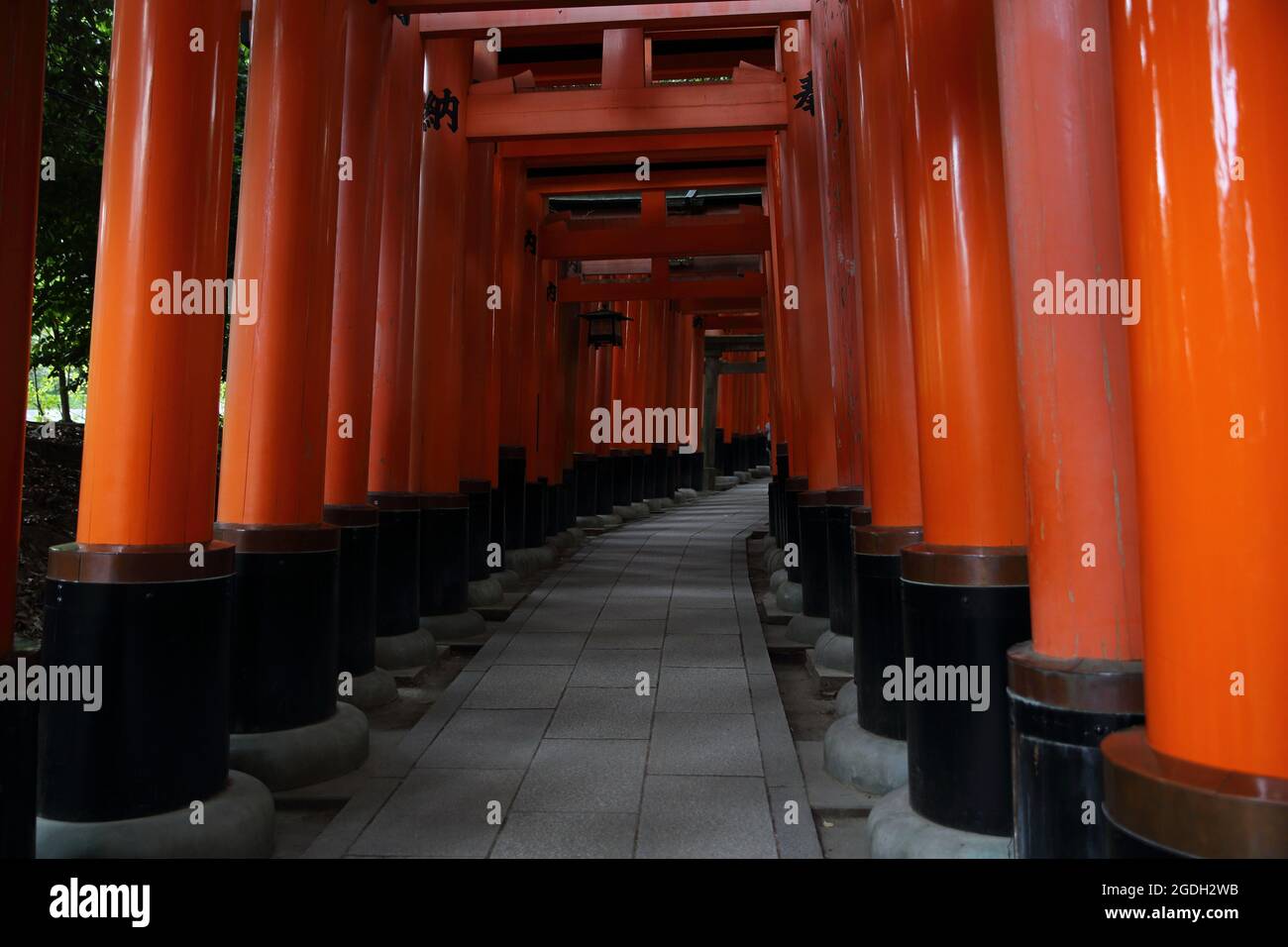 Red Tori Gate at Fushimi Inari Shrine in Kyoto , Japan Stock Photo - Alamy