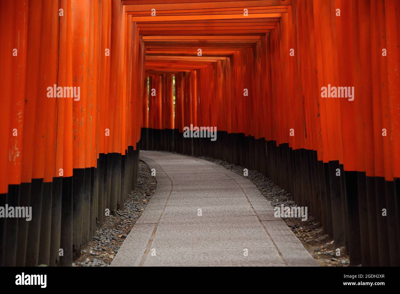 Red Tori Gate at Fushimi Inari Shrine in Kyoto , Japan Stock Photo - Alamy