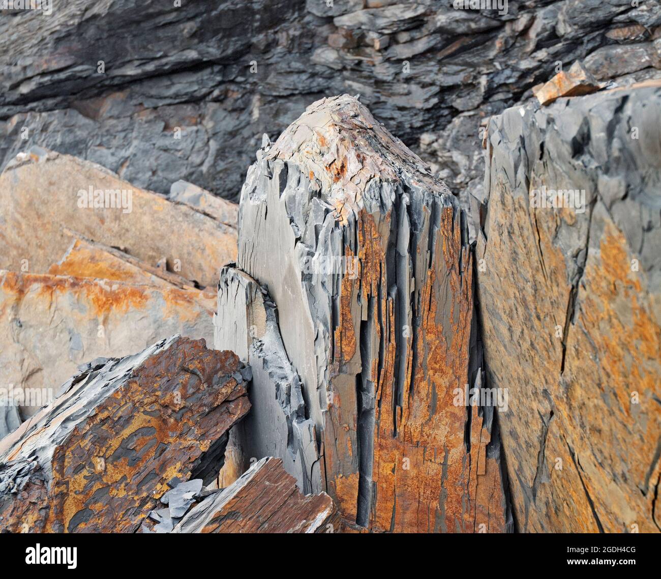 Rock shapes on the Pembrokshire coast Stock Photo - Alamy