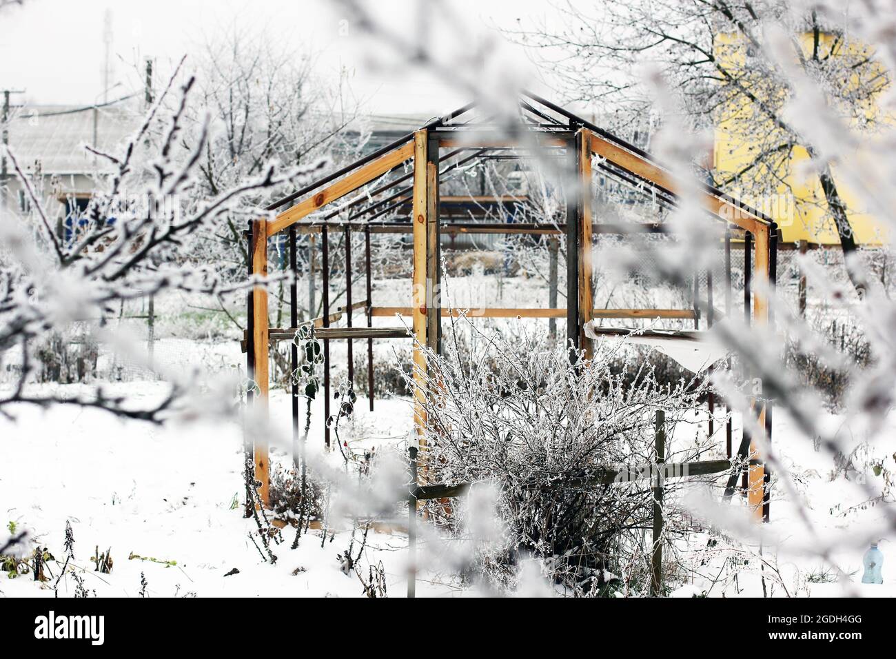 Snow-white winter in the winter garden. Frost on tree branches Stock ...