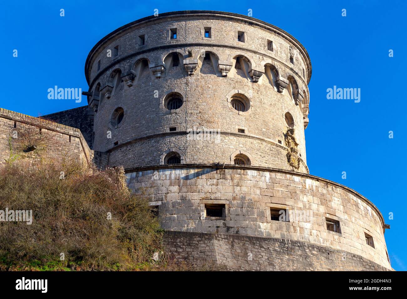 Vineyards on the background of medieval fortified walls and towers ...