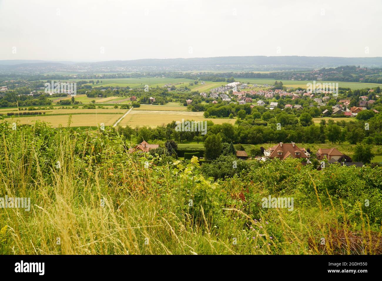 Shot of a small village in the distance surrounded by green trees and ...