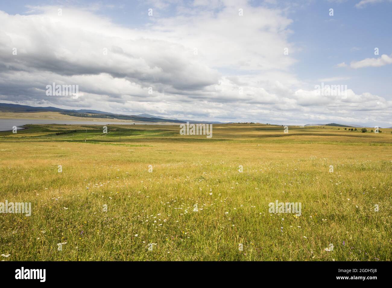 Landscape and view of the Green field, flowers and clouds in Tsalka ...