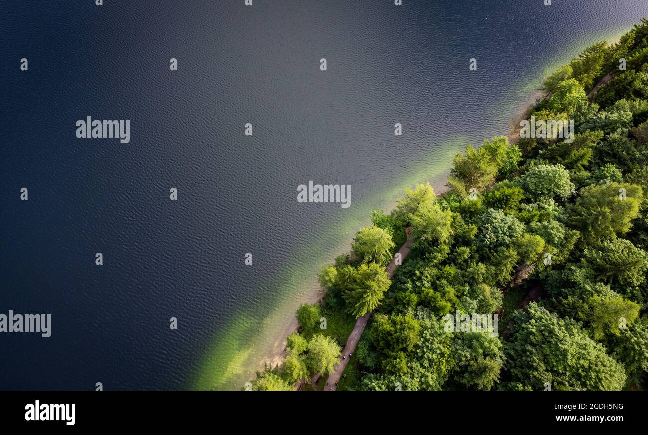 Fir trees and a lake from above - top down view Stock Photo - Alamy
