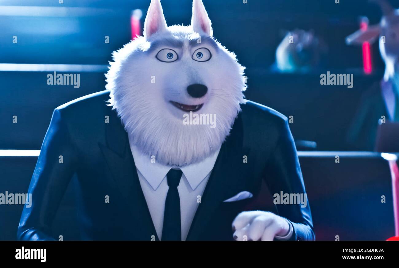 USA. A scene from (C)Universal Pictures new film: Sing 2 (2021). Plot ...
