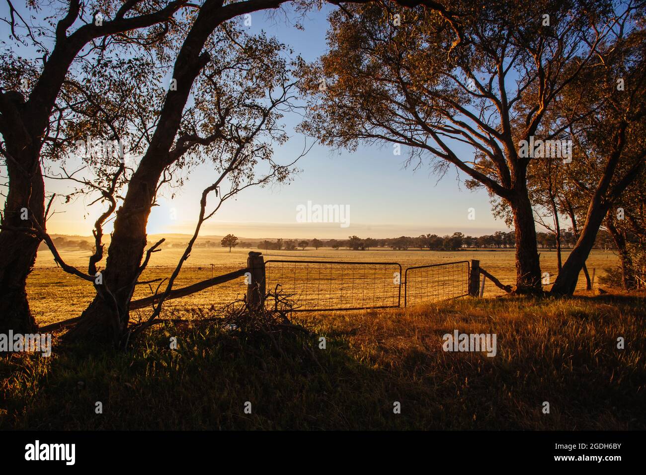 Part of the Bendigo-Maldon Road at sunrise on a spring evening near ...