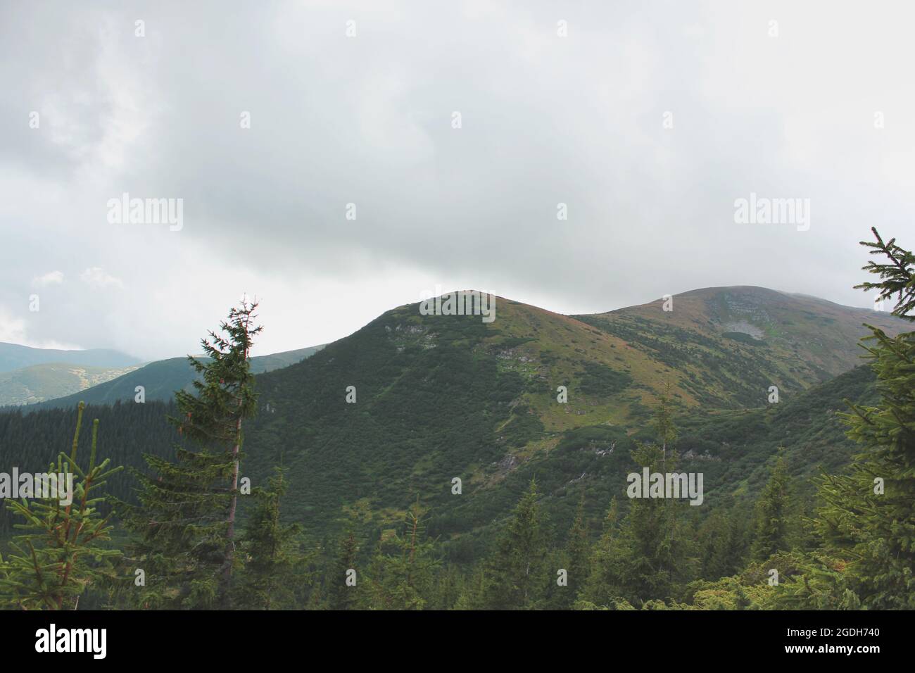 High mountains. Mountainous terrain in summer. Forests in the mountains ...