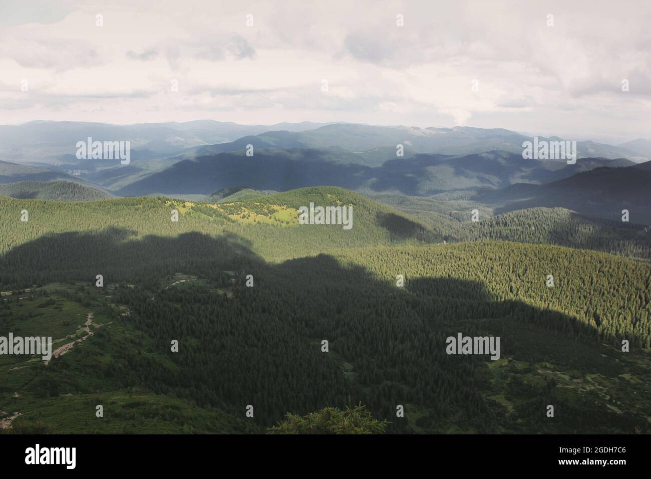 High mountains. Mountainous terrain in summer. Forests in the mountains ...