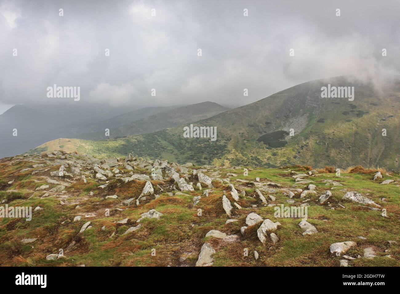 High mountains. Mountainous terrain in summer. Forests in the mountains ...