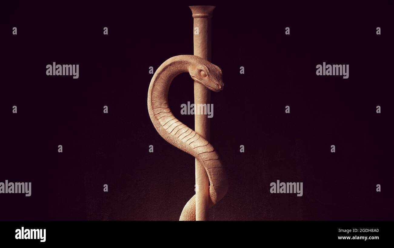 Snake and staff hi-res stock photography and images - Alamy