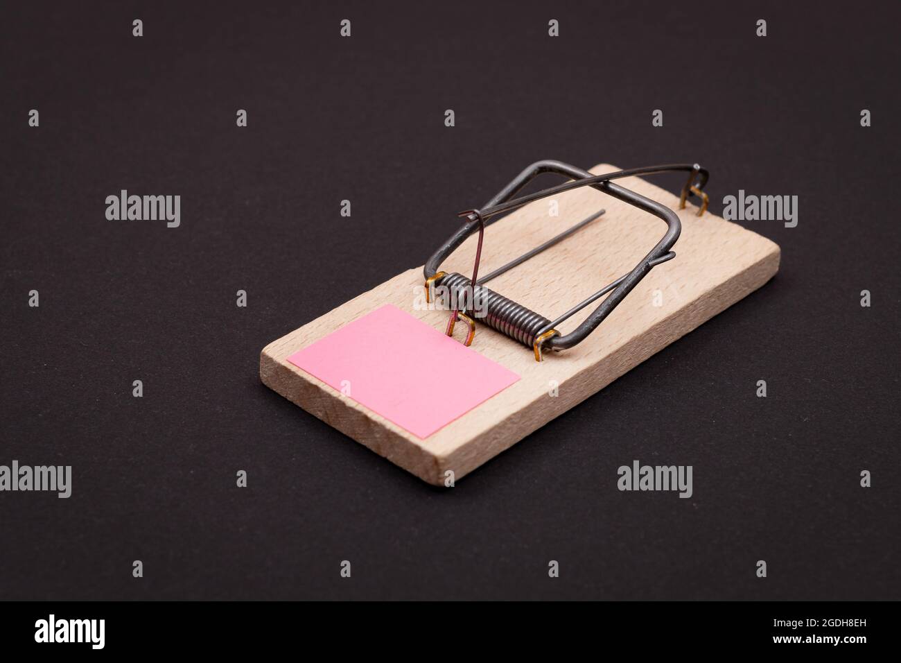 Blank Pink Sheet of Paper in Wooden Mousetrap - Template. Small Memo ...