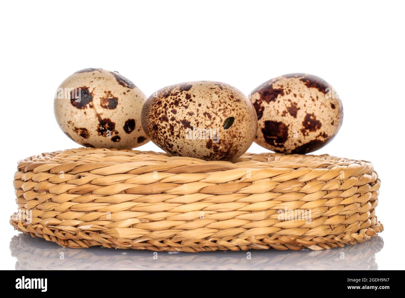 Three organic quail eggs on a straw stand, close-up, isolated on white ...