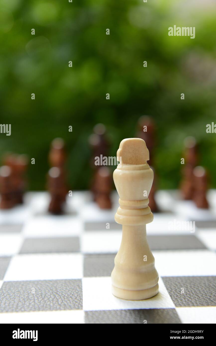 Chess board with chess pieces on bright background Stock Photo - Alamy