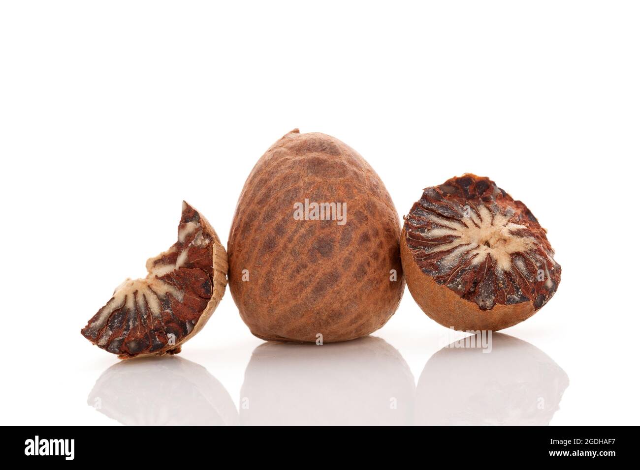 Areca Nuts Clip Art Page 2 | Areca Nut Seed Vector Art, Icons, And