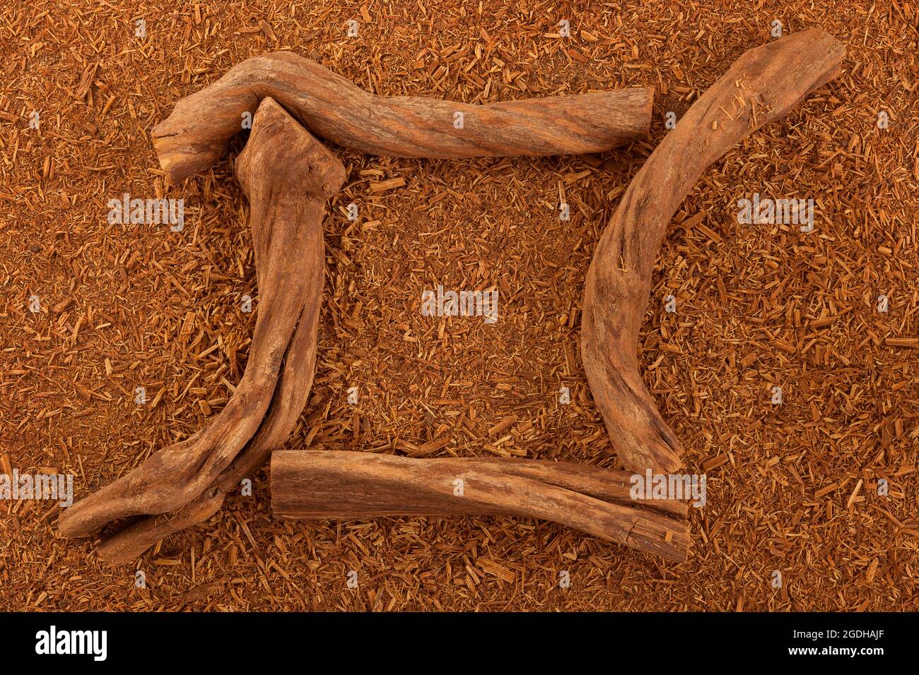 Shredded and whole banisteriopsis caapi vine. Ayahuasca, traditional ...