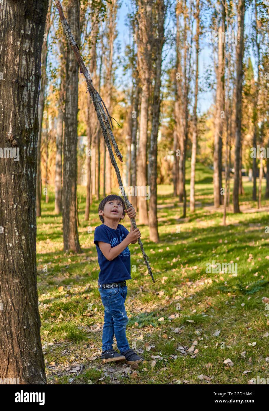 hispanic boy playing alone looking up holding a tree branch in the ...