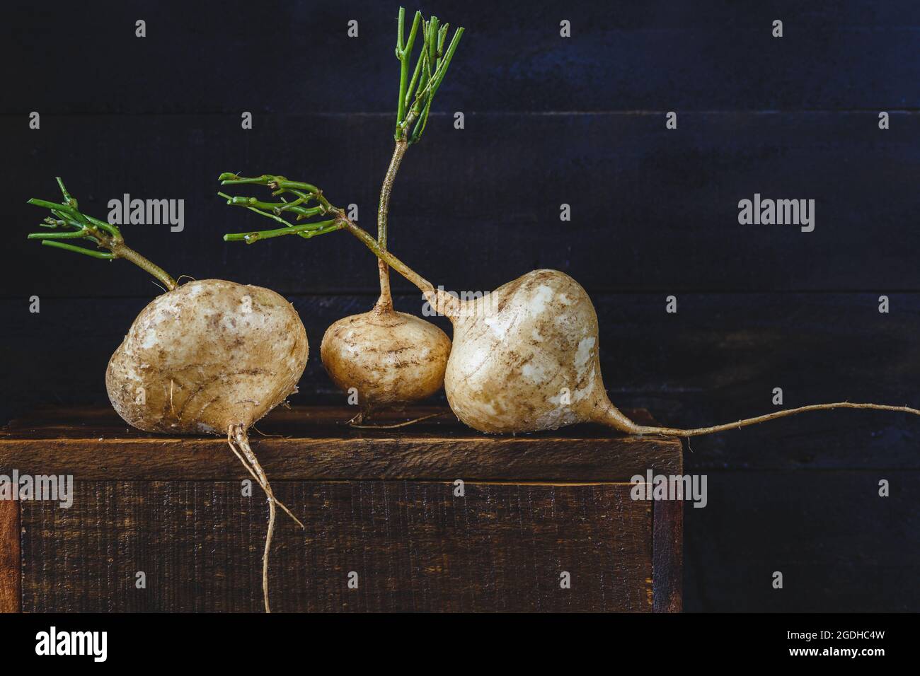 Closeup of Pachyrhizus erosus, Mexican yam beans on the wooden table ...