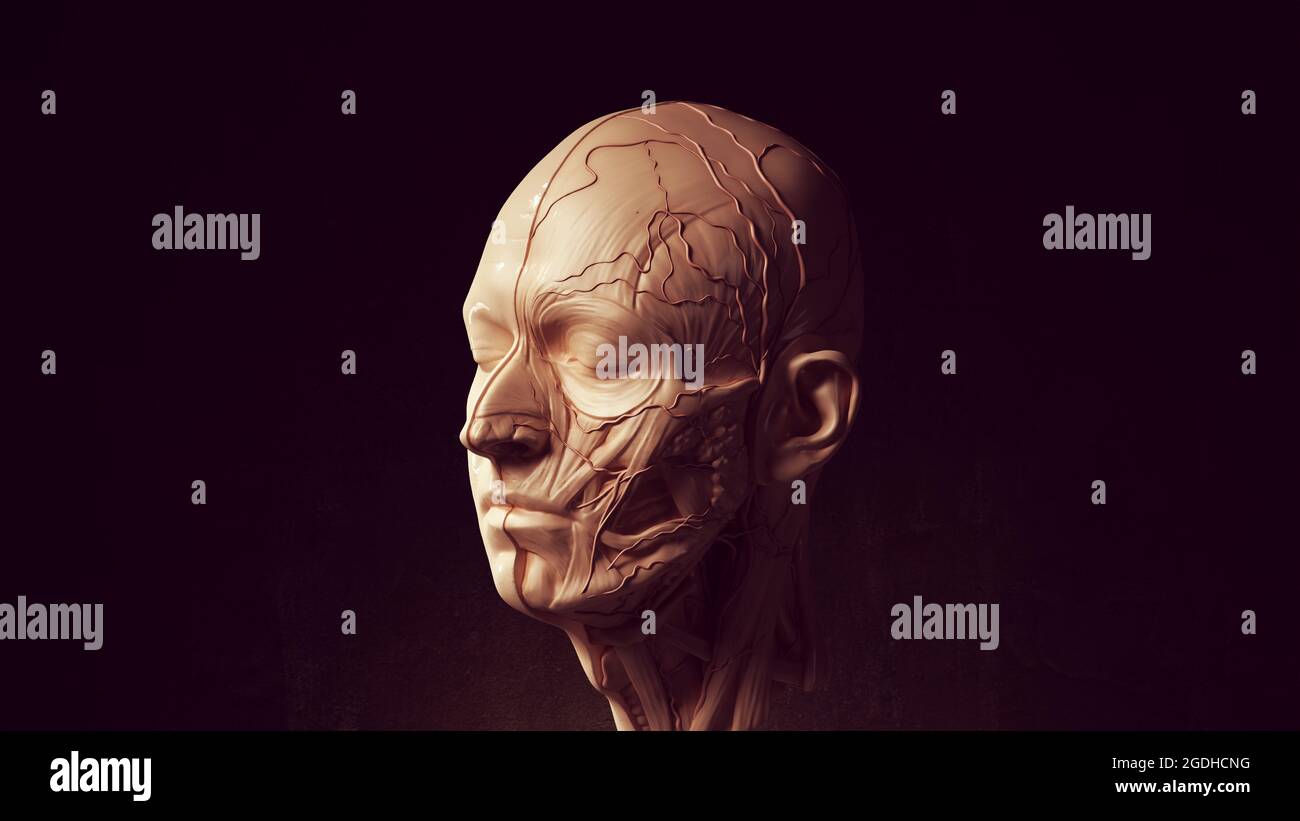 Flayed statue hi-res stock photography and images - Alamy