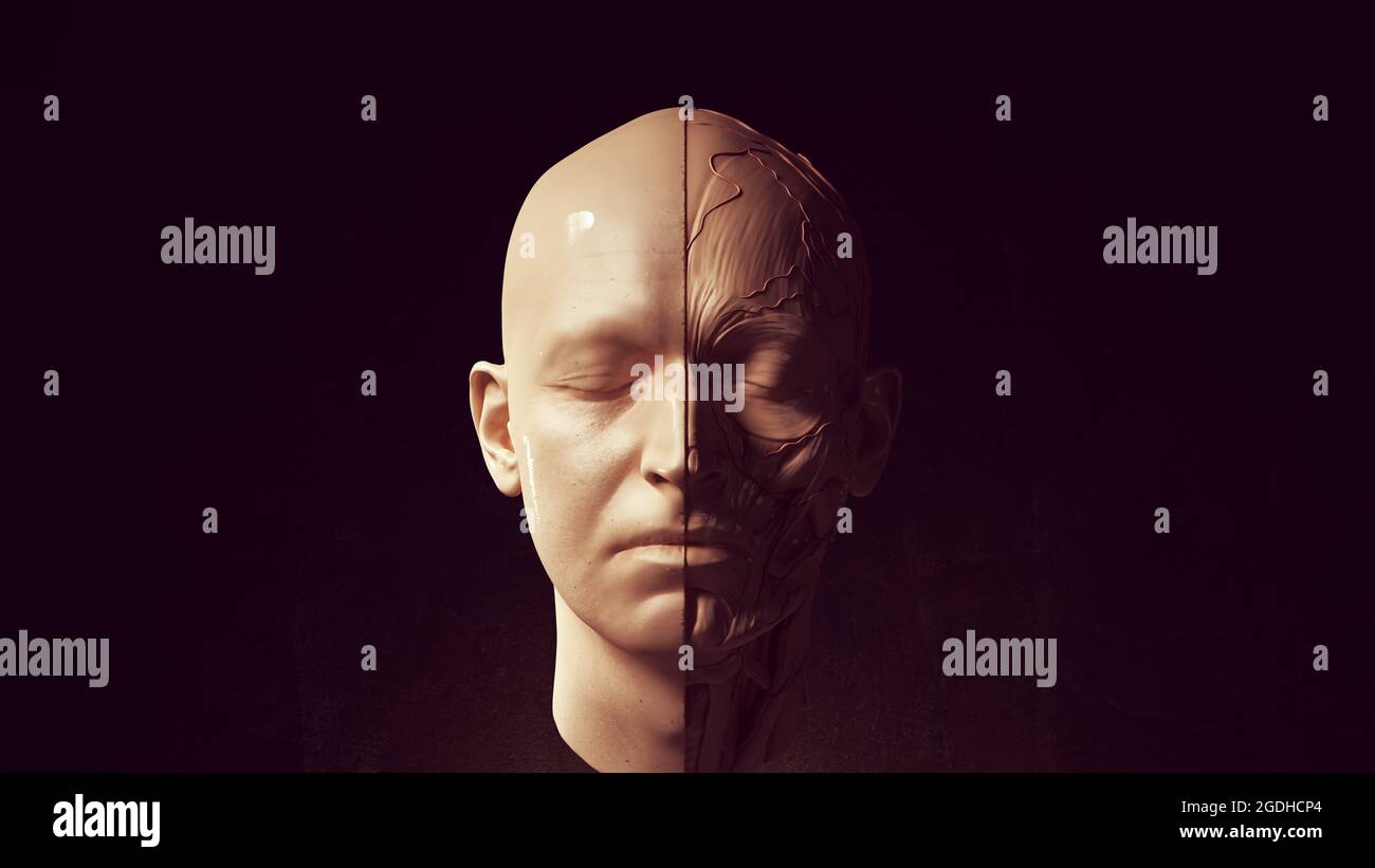 Half flayed hi-res stock photography and images - Alamy