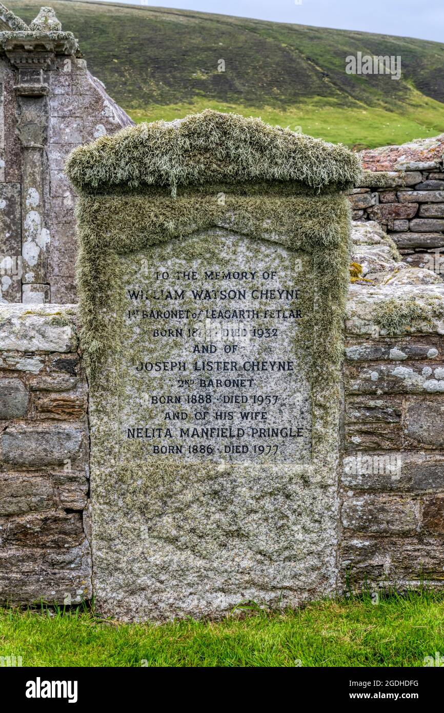 Sir william watson cheyne hi-res stock photography and images - Alamy