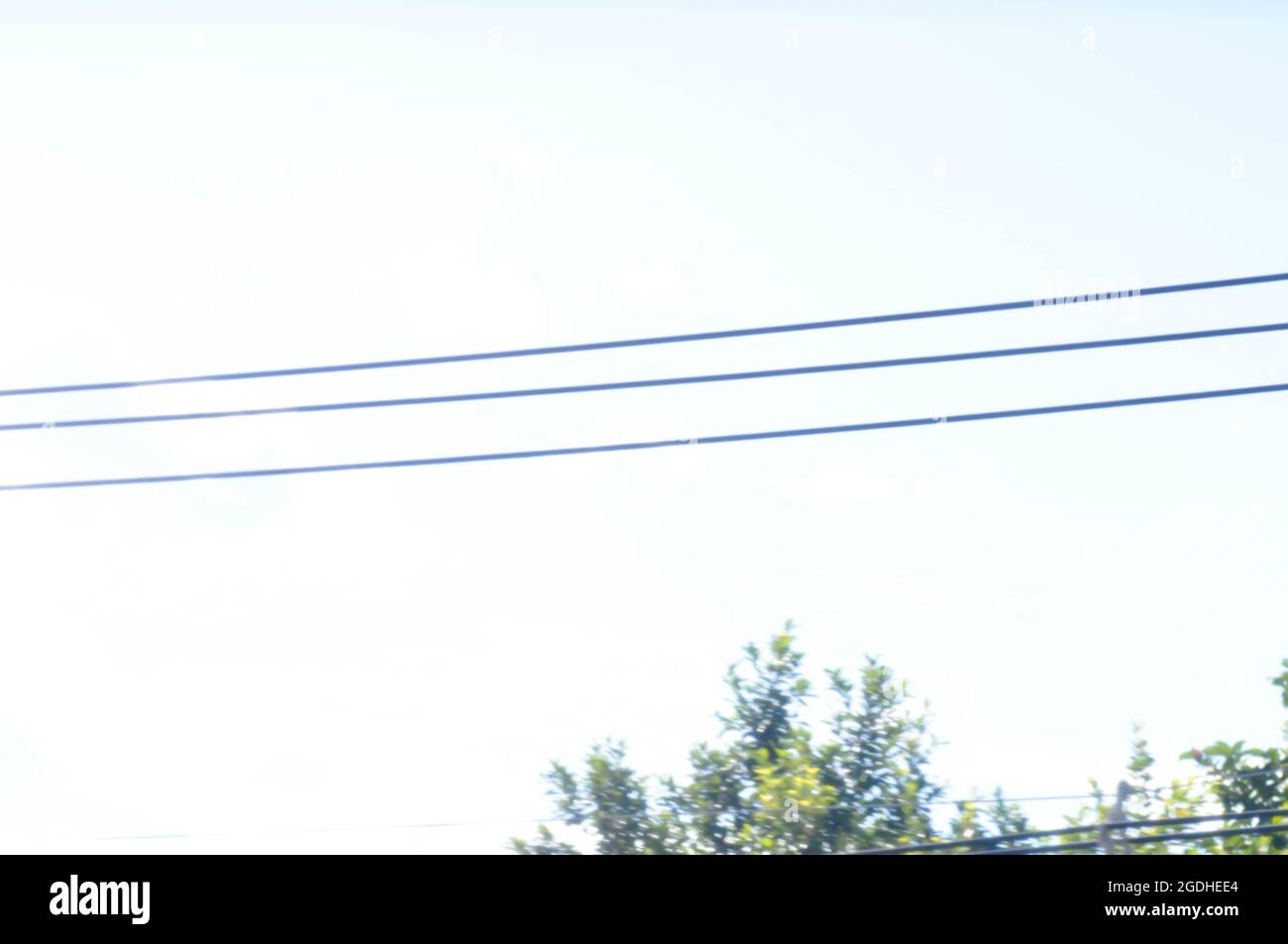 wire , cable or electric cable and tree in blur background Stock Photo ...