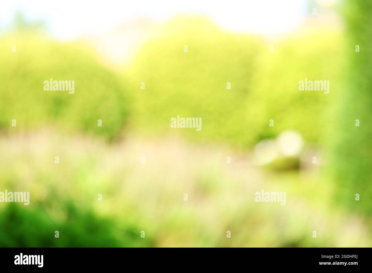 Abstract nature background Stock Photo - Alamy