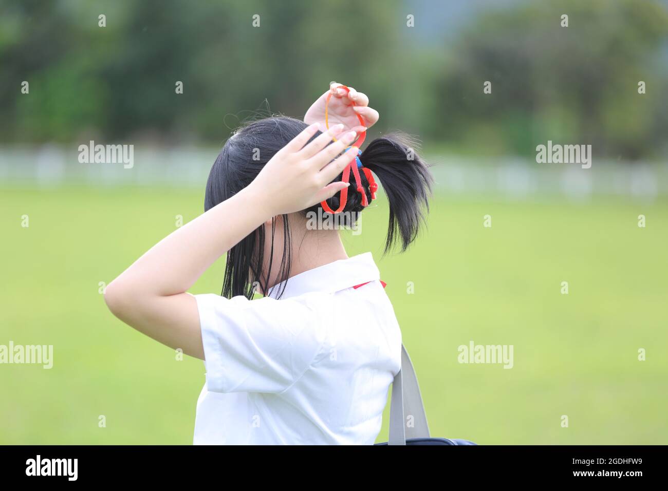 Japanese school in countryside with grass mountain and tree Stock Photo ...