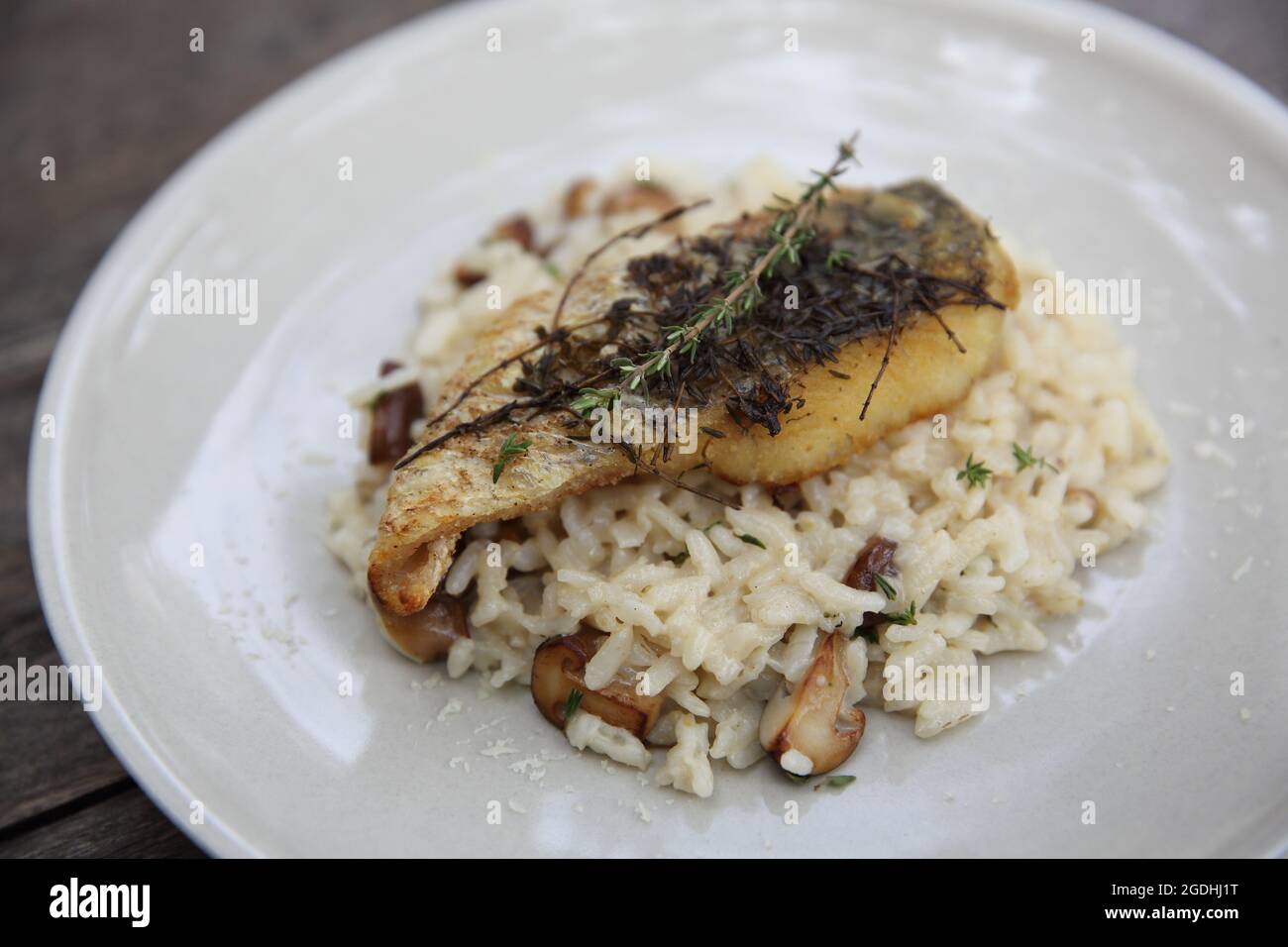 risotto with sea bass fillet steak on wood background , italian food ...