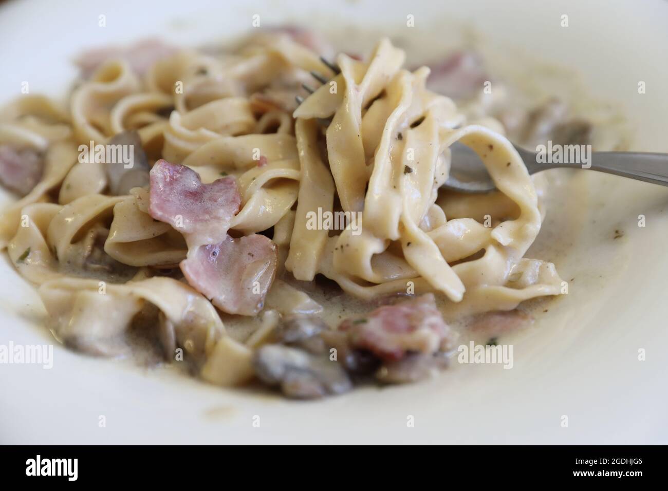 pasta fettuccine alfredo white sauce with ham bacon and mushroom Stock ...