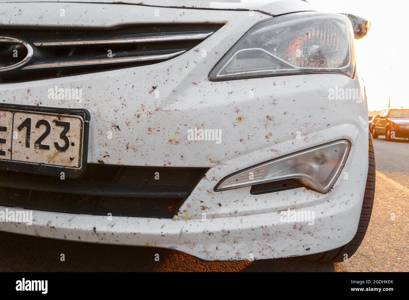 Insects on car paintwork, broken midges. Killed insects on the bumper ...