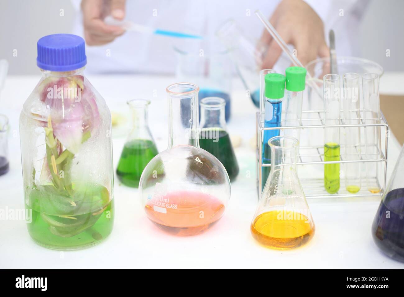 Scientific laboratory glassware filled with color liquid Stock Photo ...